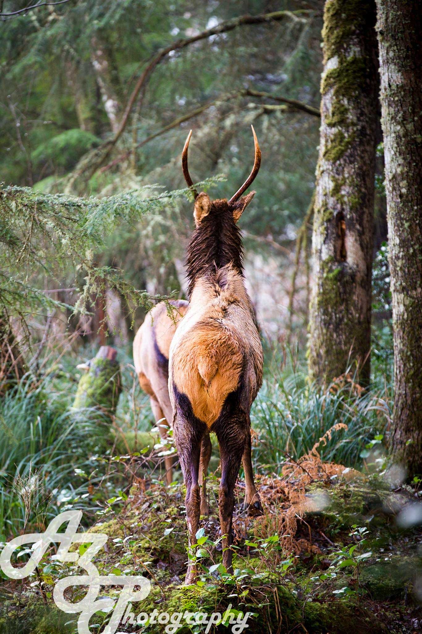 Oregon Travel Tips: The 11 Things You Must Know Before Heading to the State