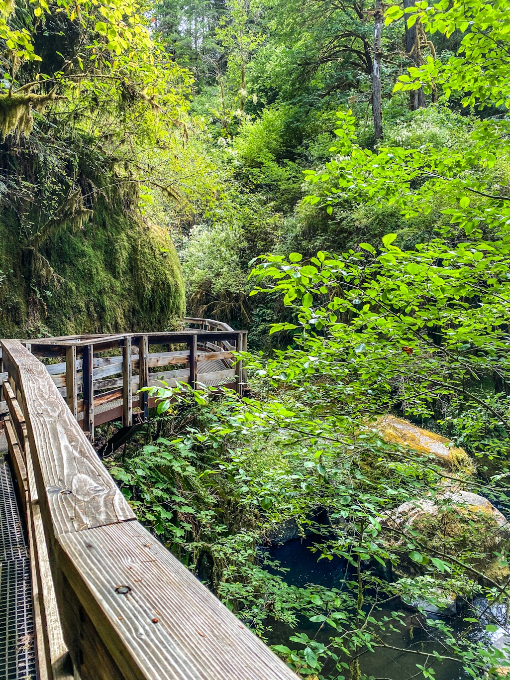 The Sweet Hike of Sweet Creek Falls - Seconds to Go