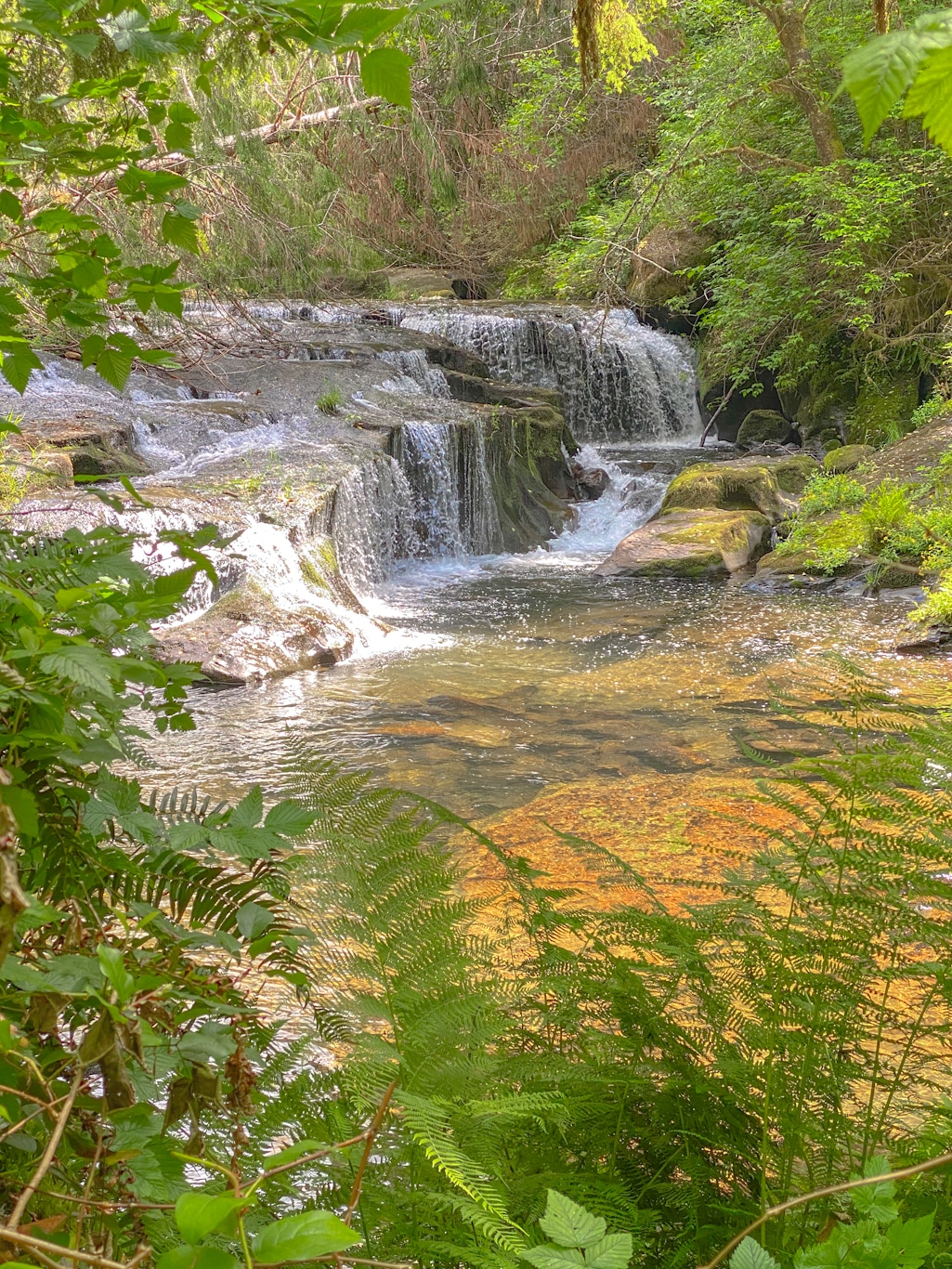 The Sweet Hike of Sweet Creek Falls - Seconds to Go