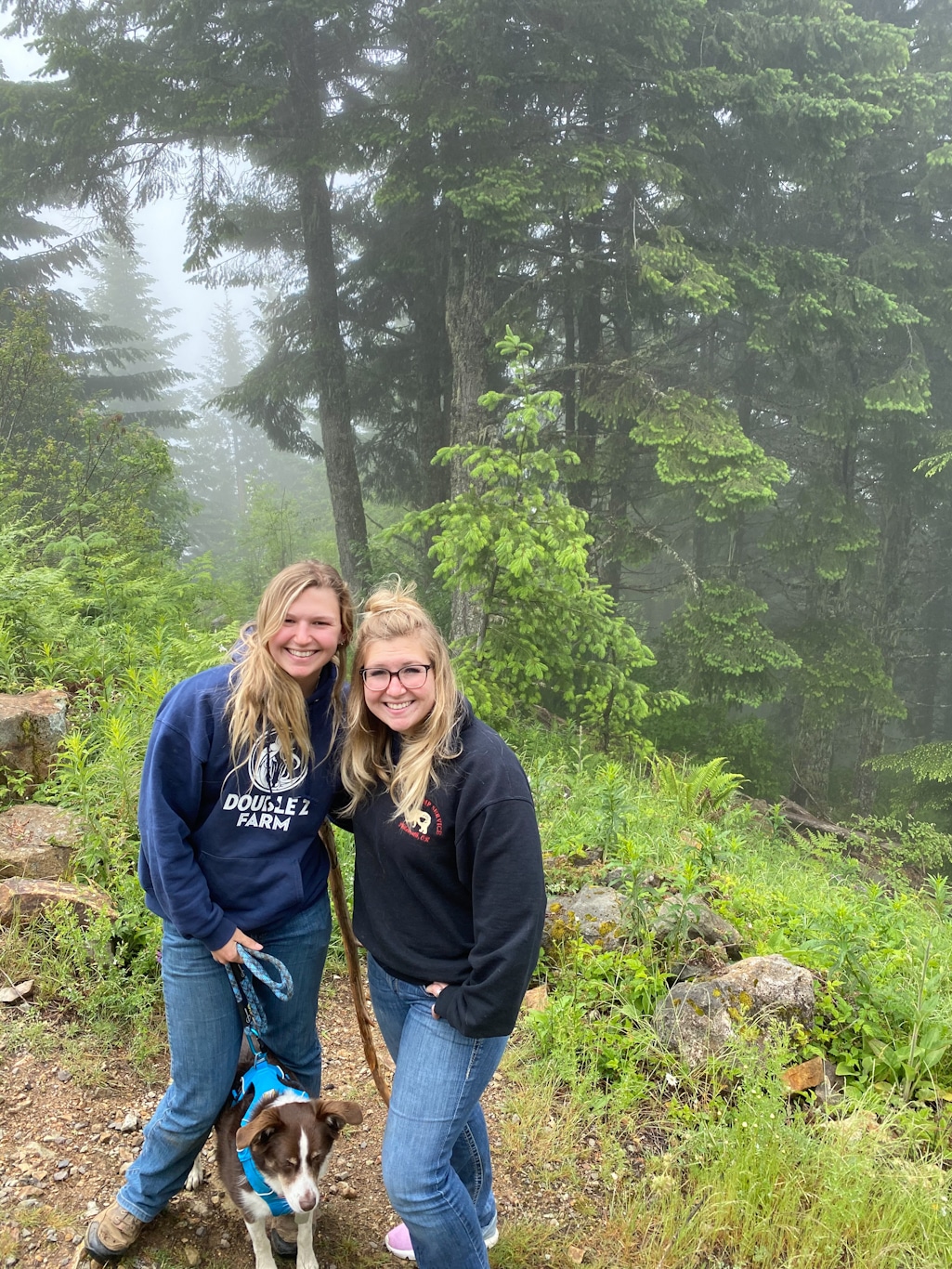 What’s Hiding in Oregon’s Backcountry? Oregon Hiking Trail to a Secret ...