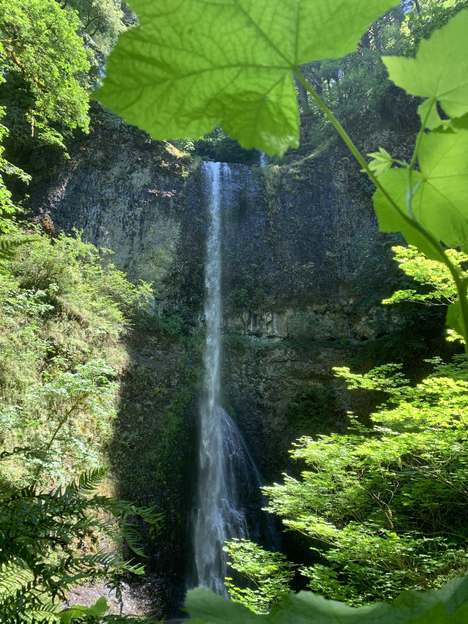 Guide to the Most Scenic Places in Oregon: Exploring Epic Landscapes