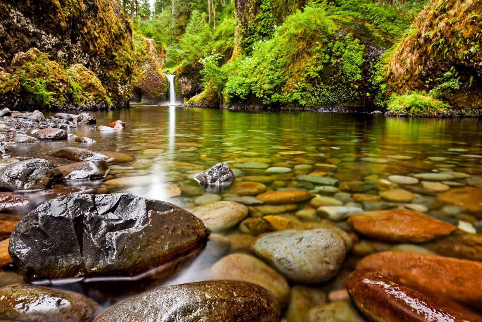 21 of the Best Oregon Hiking Trails for a Lifetime of Adventures ...