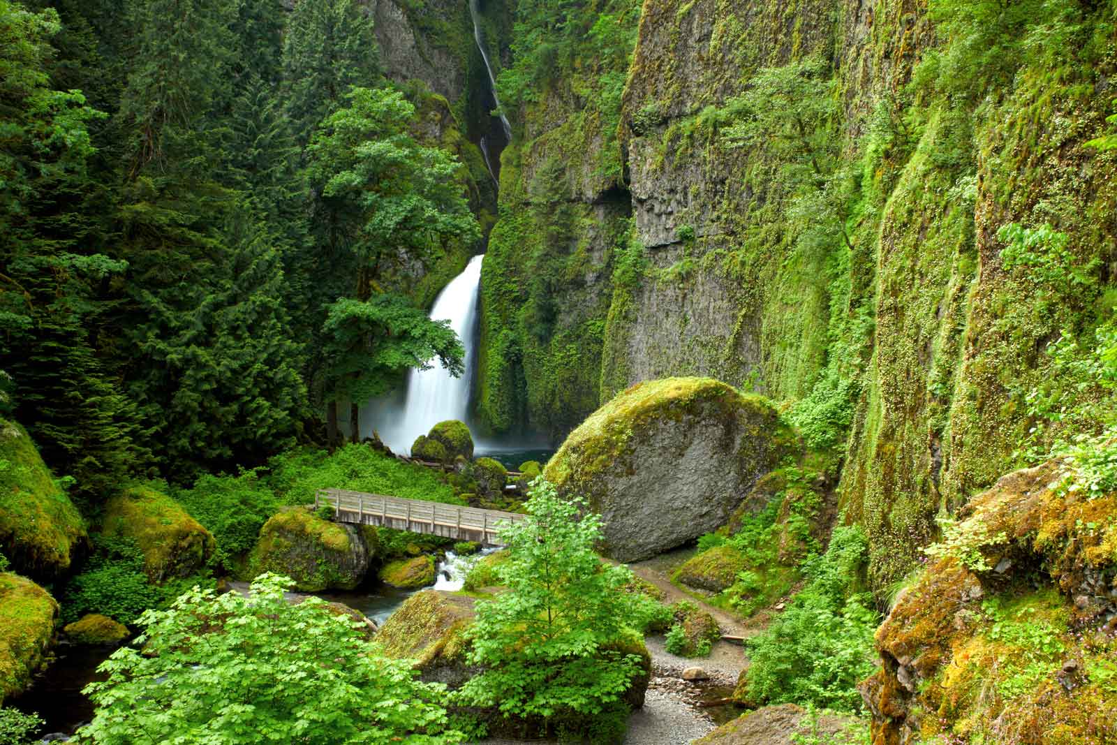 21 of the Best Oregon Hiking Trails for a Lifetime of Adventures ...