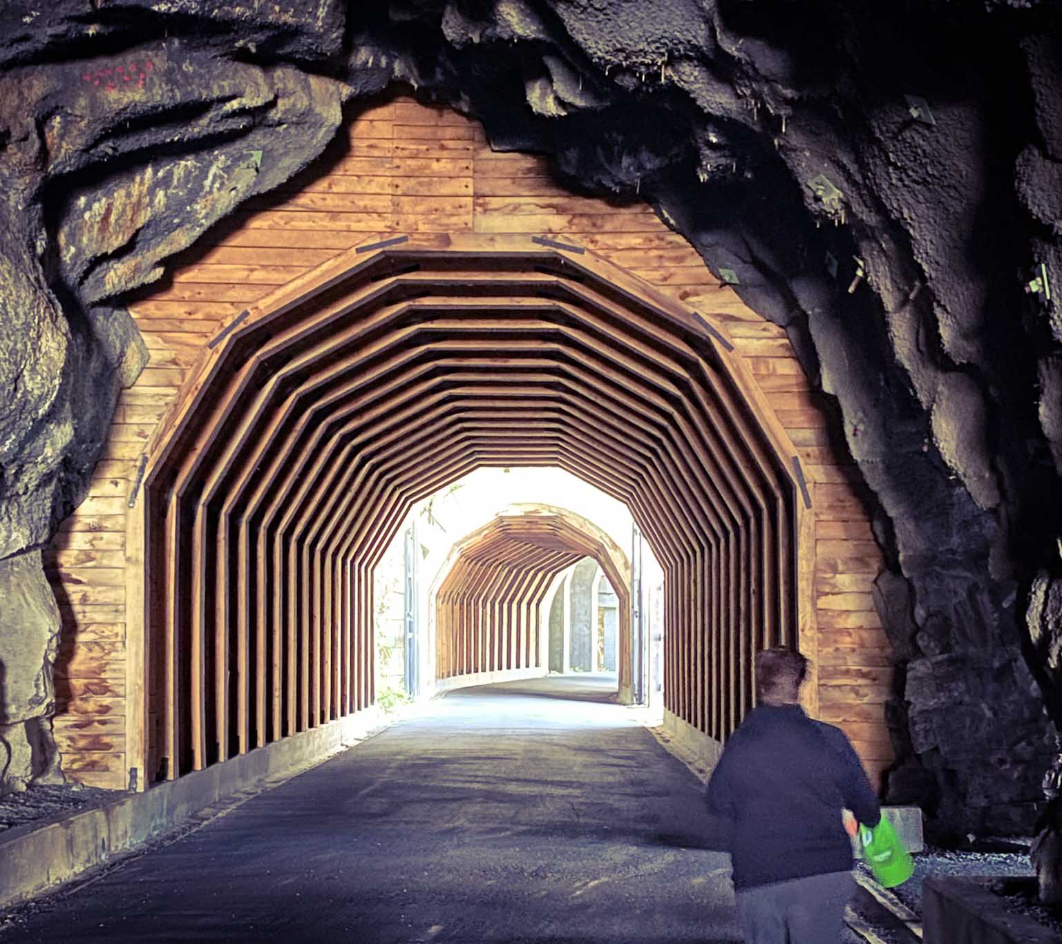 21 of the Best Oregon Hiking Trails for a Lifetime of Adventures ...