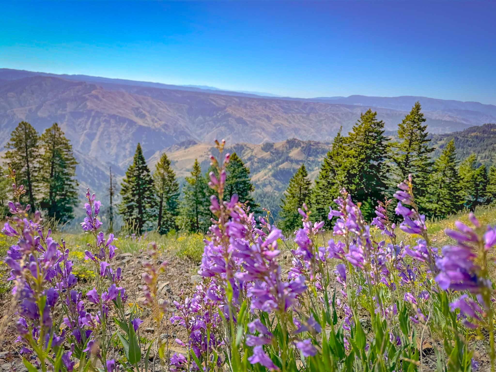 Exploring Epic Landscapes: Guide to the Most Scenic Places in Oregon