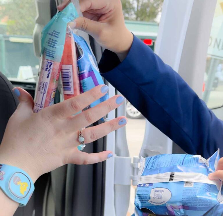 Behind the Curtain: A Personal Disney VIP Tour Review