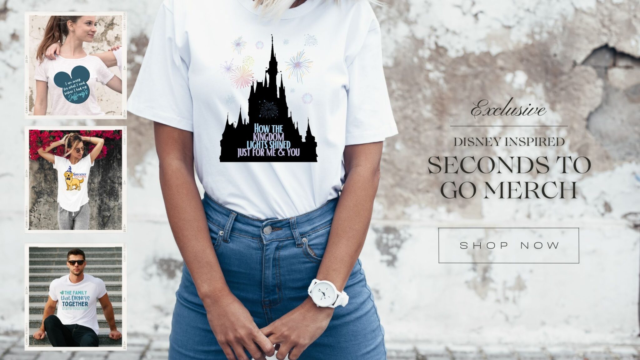 Behind the Curtain: A Personal Disney VIP Tour Review