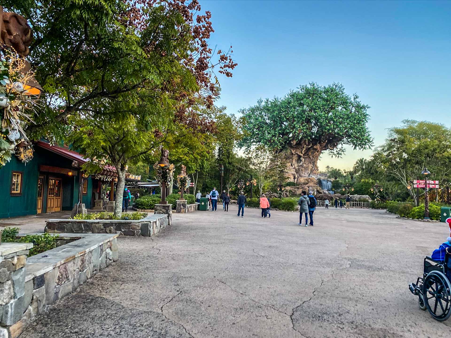 The Best Time to Visit Disney World: What the Experts Say - Seconds to Go