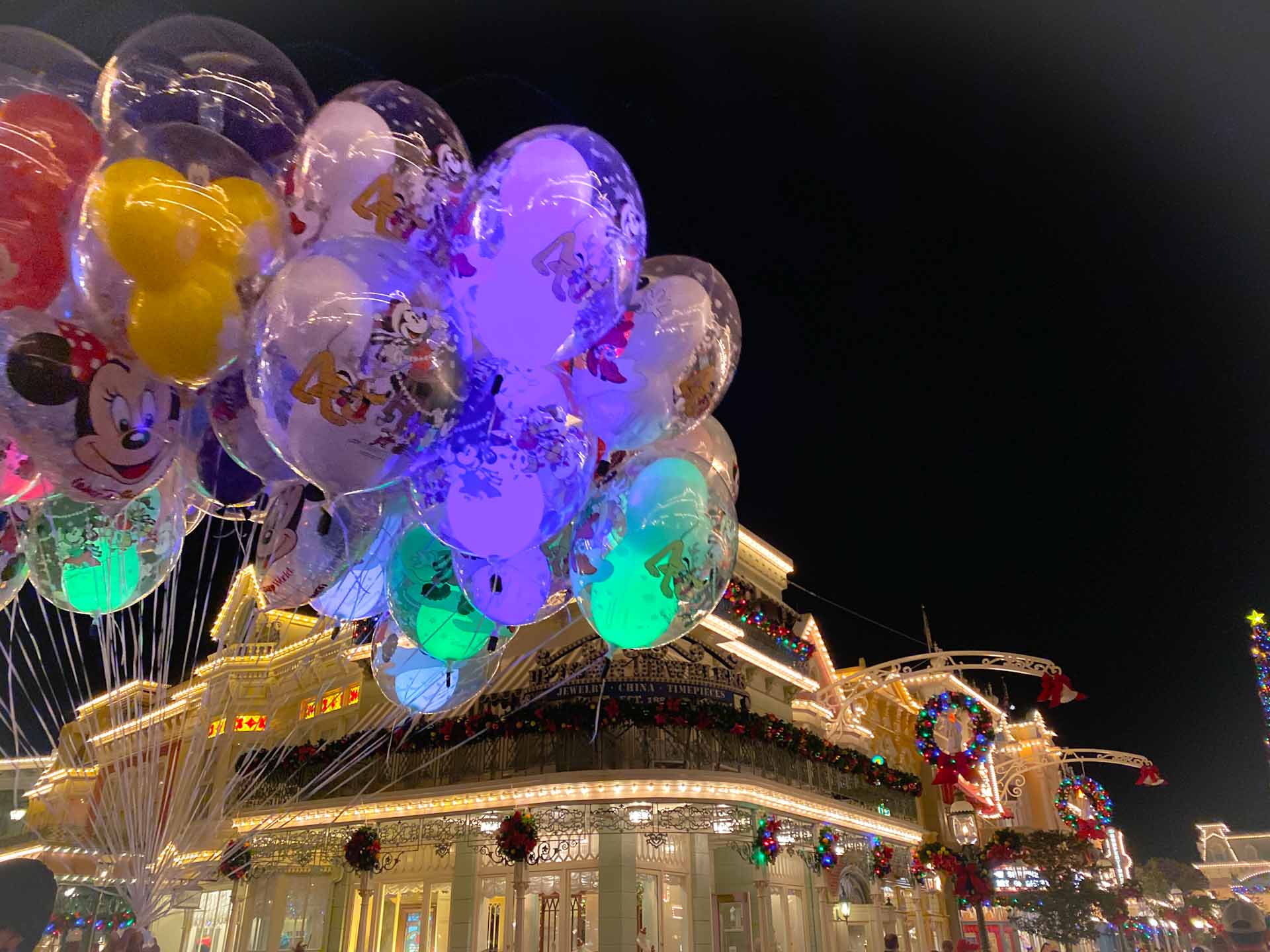 When Darkness Falls: Discovering the Hidden Charms of the Magic Kingdom ...