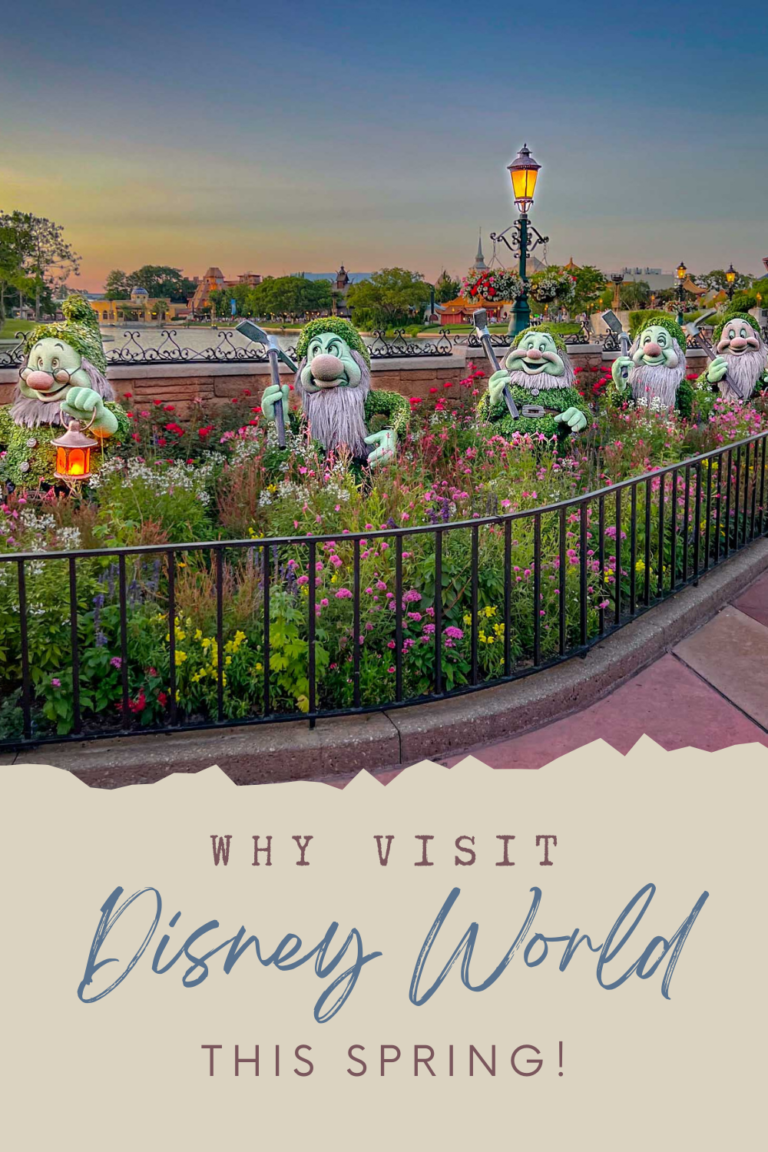 When to Go to Disney World? Helping You Decide