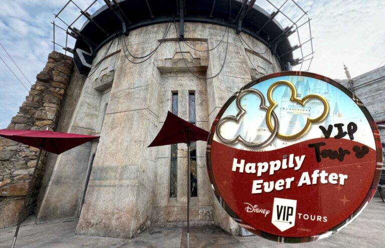 Behind the Curtain: A Personal Disney VIP Tour Review