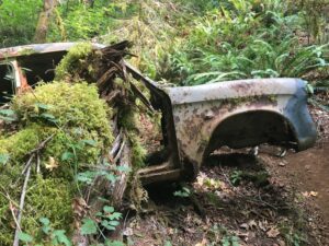Beazell Memorial Forest- A Hike with Beautiful Scenery and a Love Story