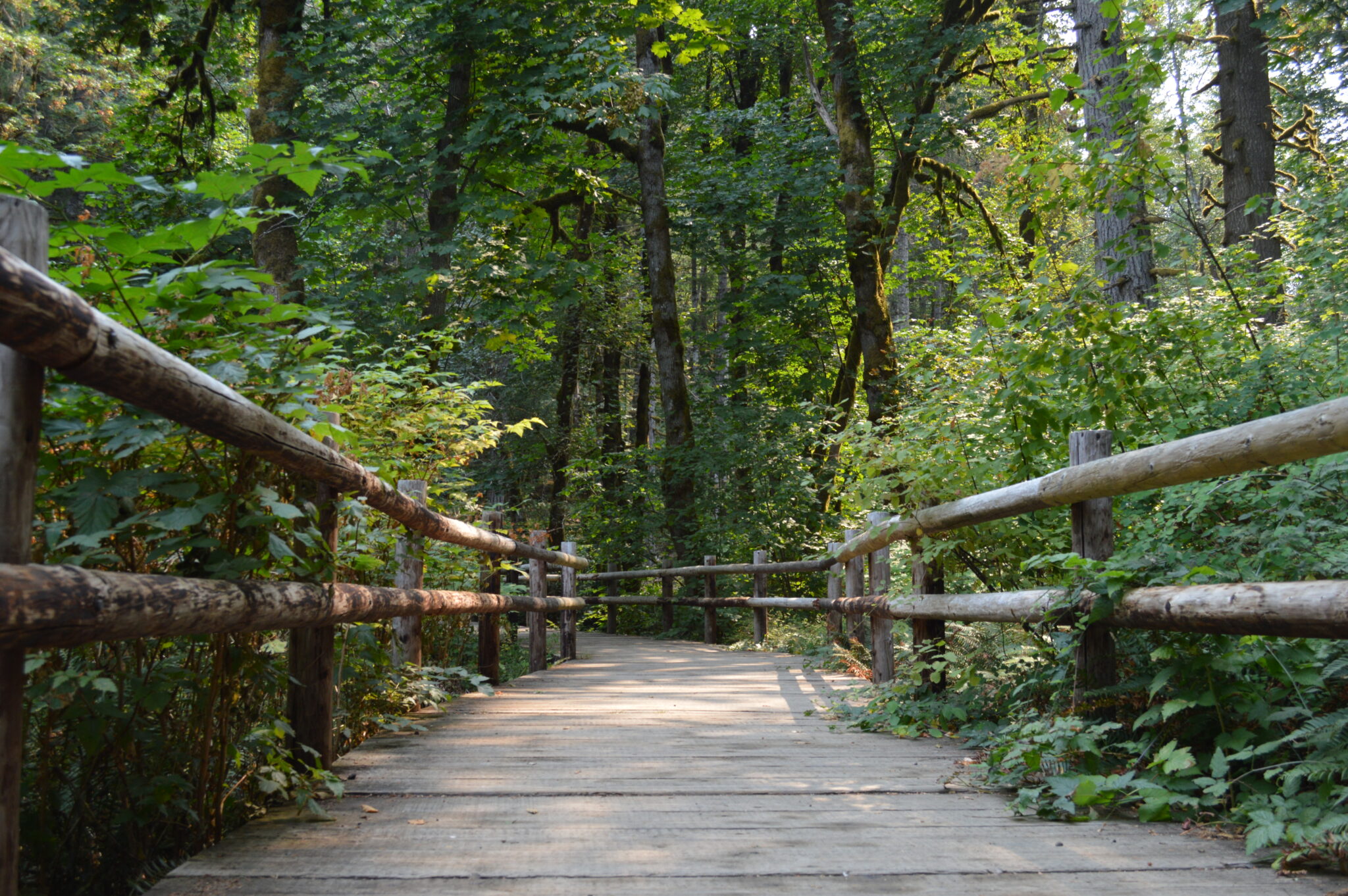 Beazell Memorial Forest- A Hike with Beautiful Scenery and a Love Story