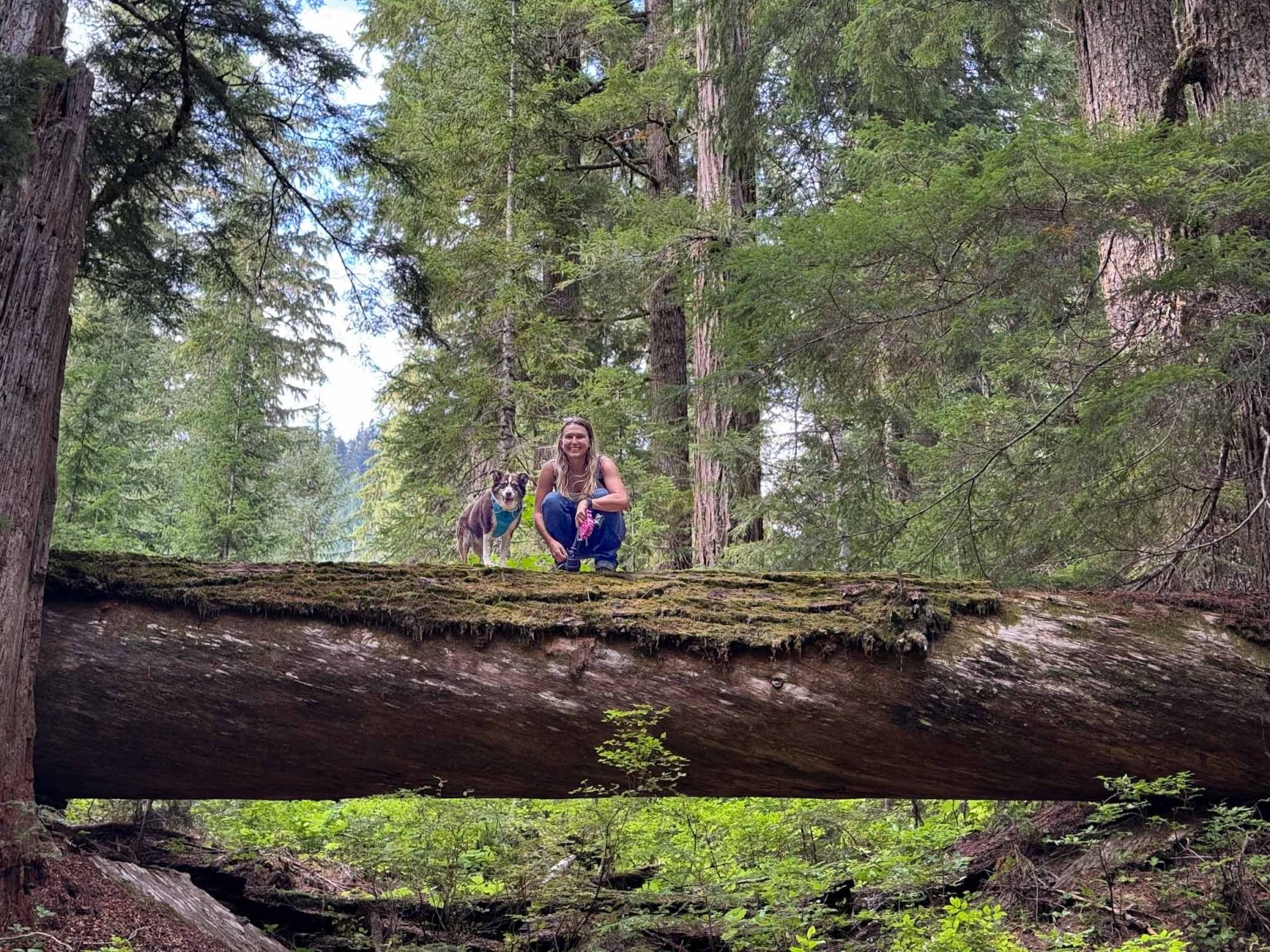Exploring Epic Landscapes: Guide to the Most Scenic Places in Oregon