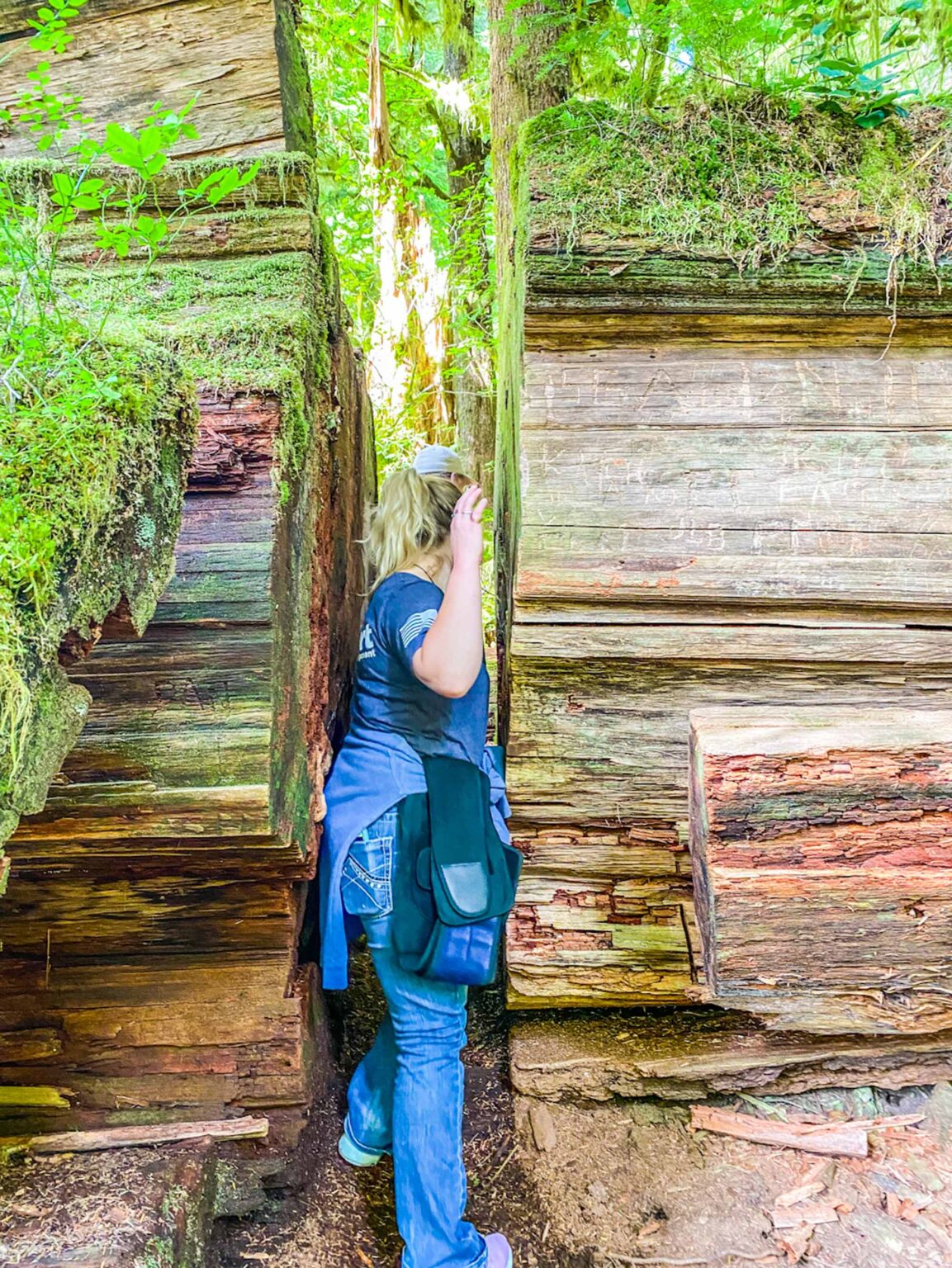 Valley of the Giants: Oregon's Tallest Hidden Secret - Seconds to Go