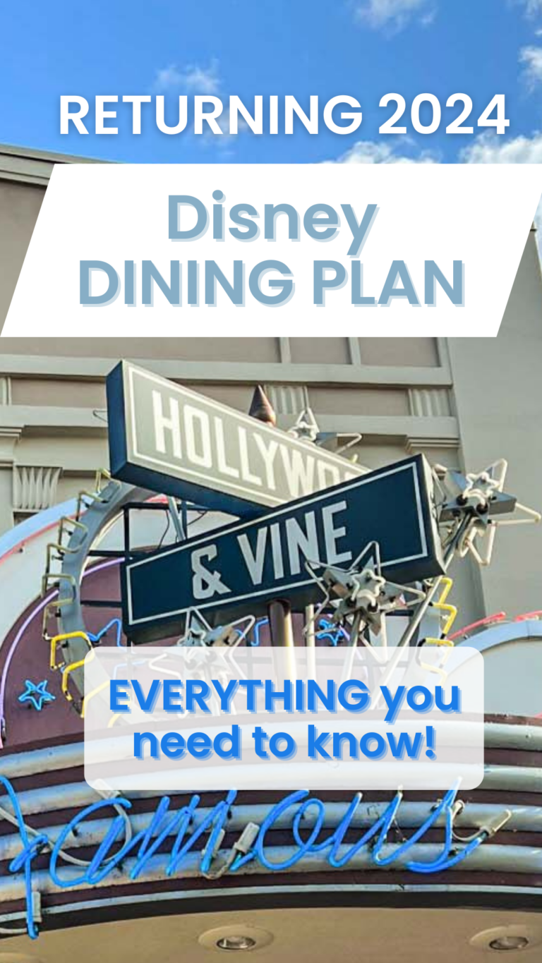 Behind the Curtain: A Personal Disney VIP Tour Review