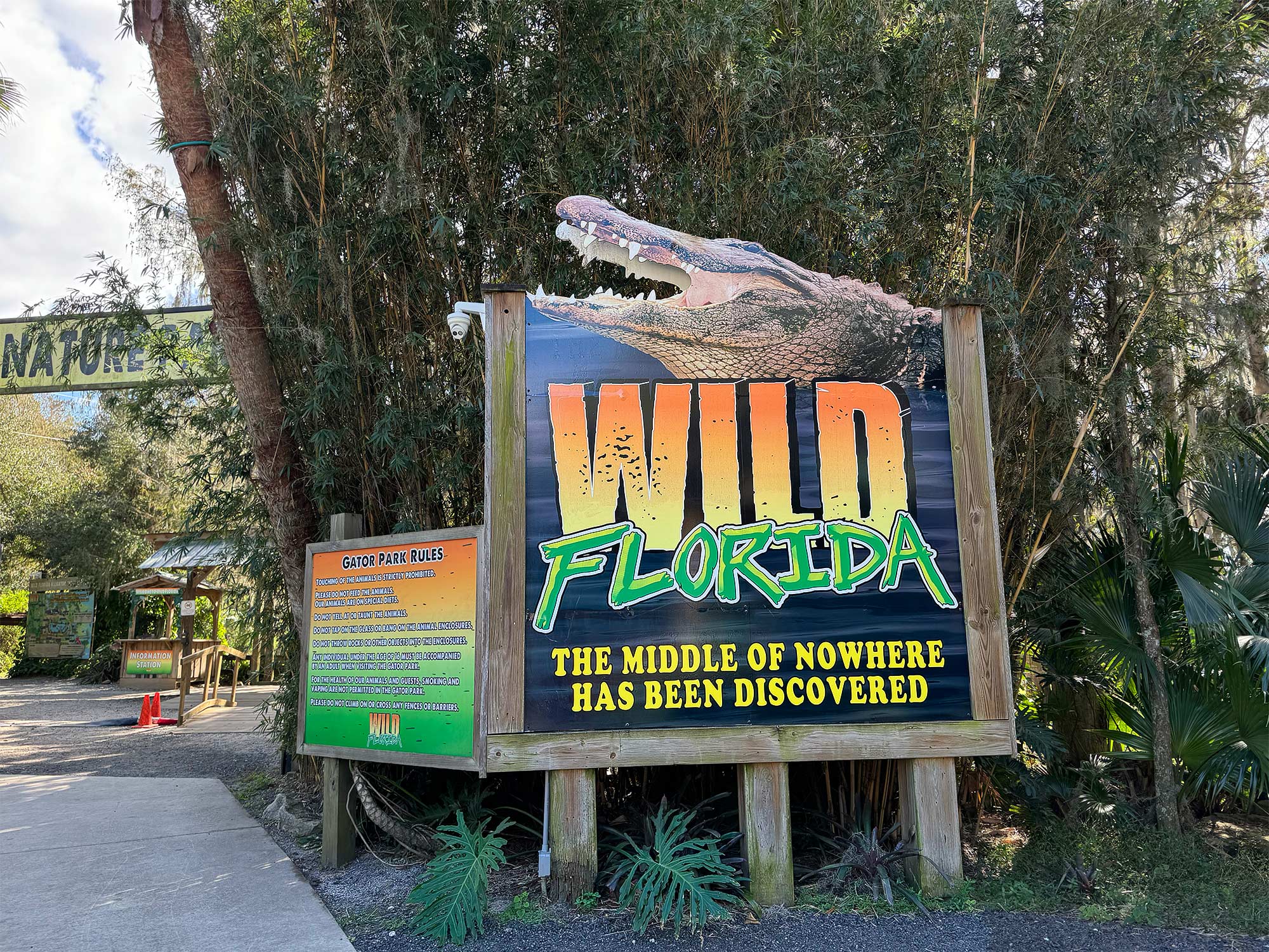 Pet a Capybara and More: Discover Wild Florida Alligator and Wildlife ...